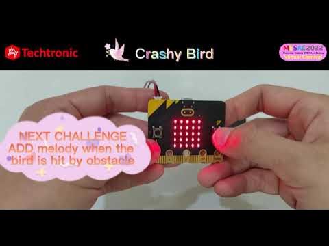Explore STEM & Coding with micro:bit : Crashy Bird (GAMES) #microbit # ...