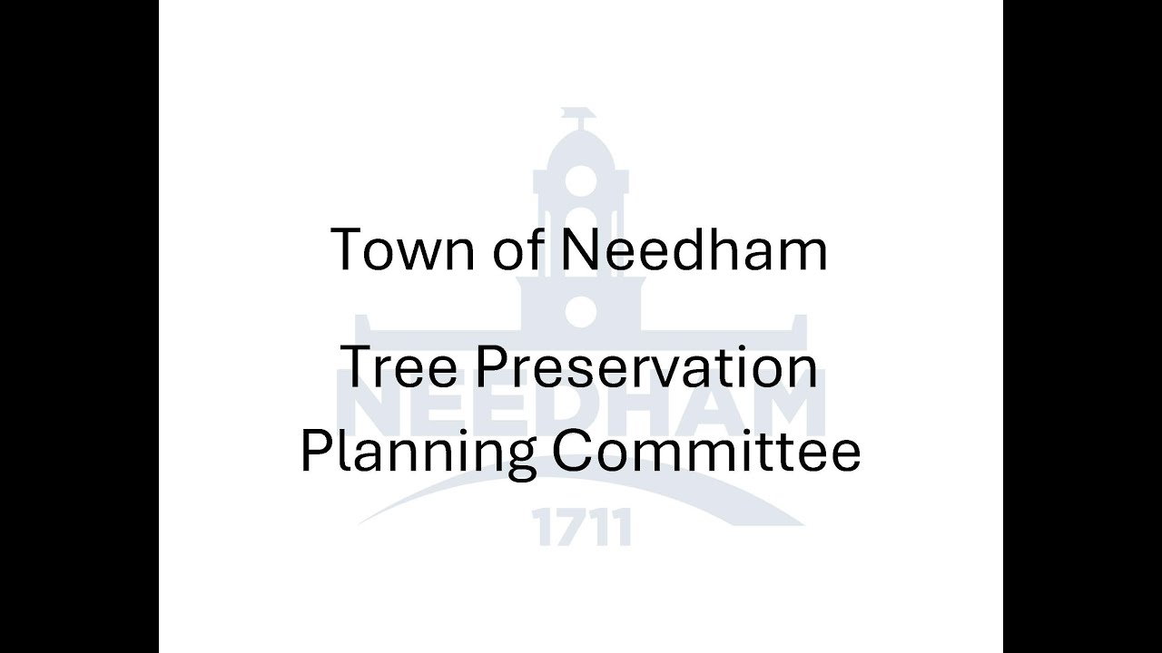 Tree Preservation Planning Committee 08/11/2025 - YouTube