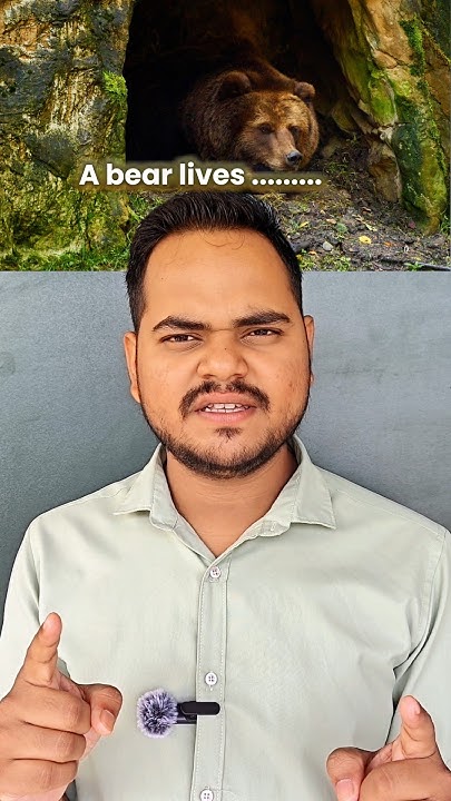 "Where Do These Animals Live? 🐄🐖🐕🐇 Can You Guess the Last One?" - YouTube