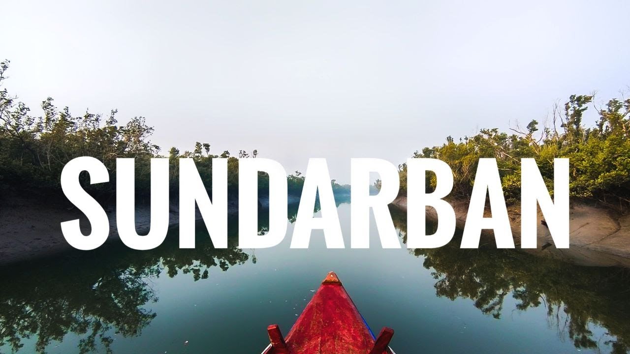 Sundarban Vlog | Vlog 1 | Scattered Vlogs - YouTube