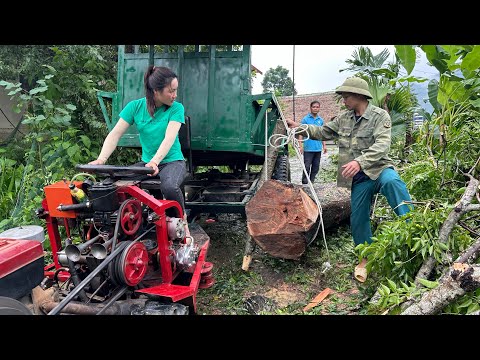 girl driving tractor carrying giant logs