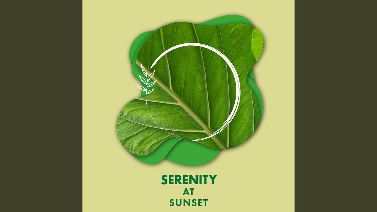 Lizard Naps - YouTube