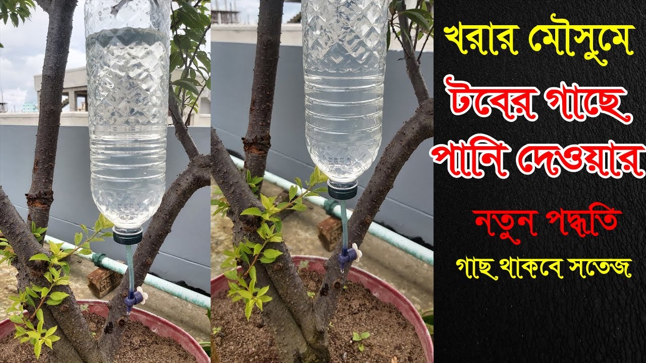 Plastic Bottle Drip Water Irrigation System Very Simple Easy ll DIY ...