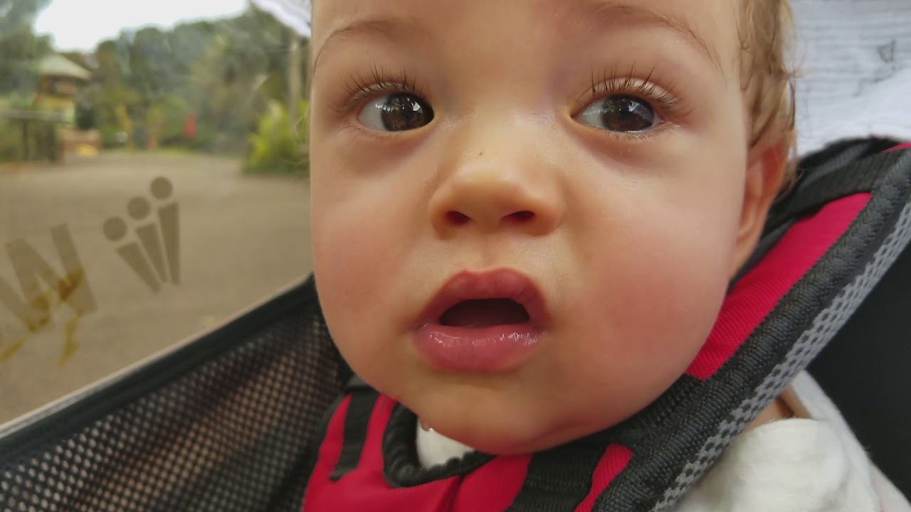 Riley sees the monkeys - YouTube