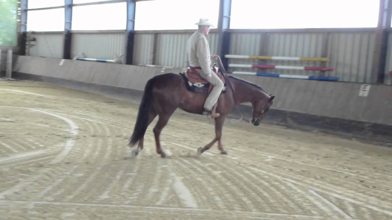 Jeran Western Performance-Horses.mov - YouTube