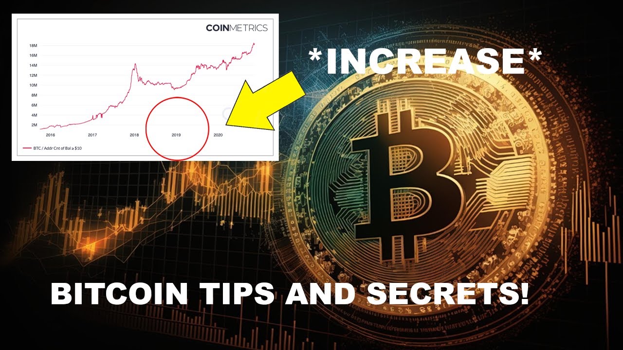 Bitcoin Wealth Secrets: How to Make Money in the Cryptocurrency Market ...