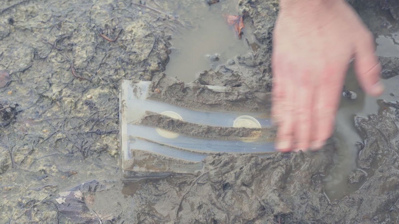 I found something buried in the mud... The Werewolf of Fever Swamp ...