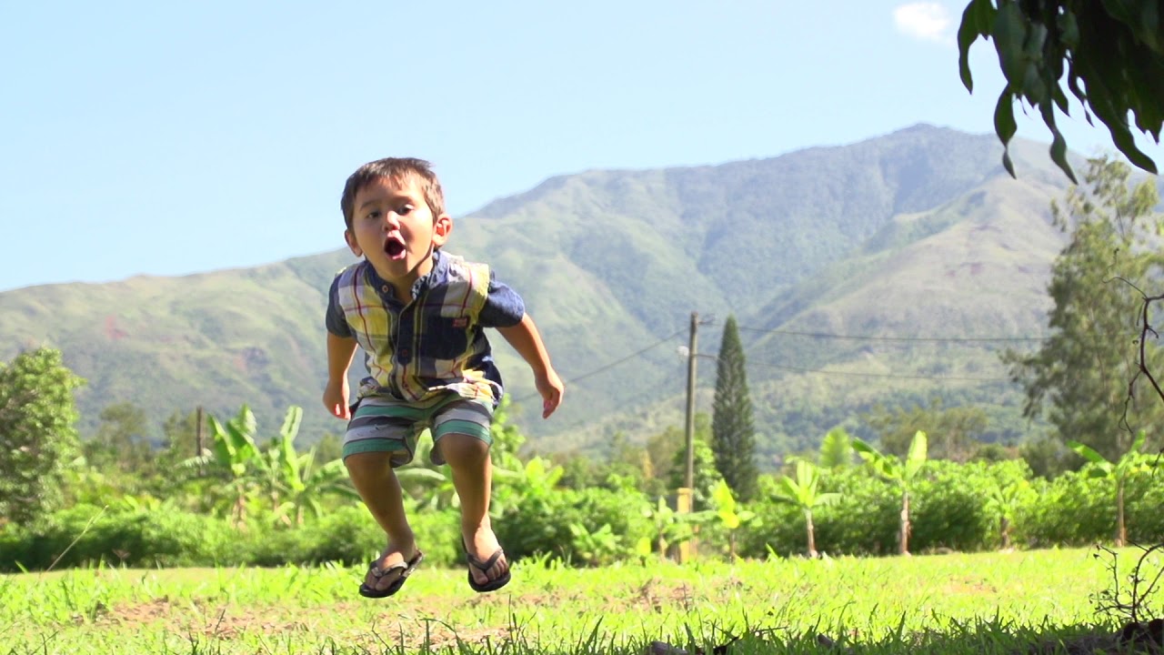 Le cri de la vache - YouTube