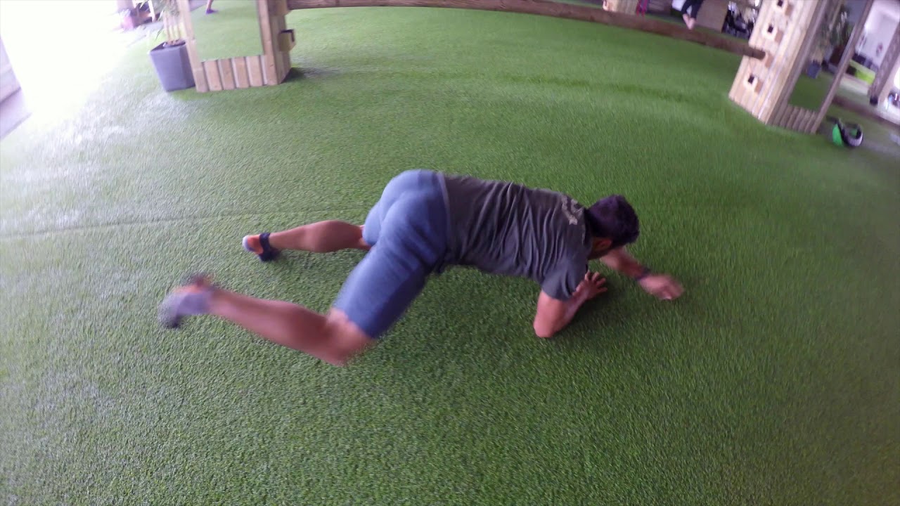 ANIMAL PLANK REVERSE - YouTube