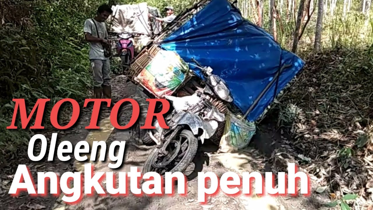 Motor Oleng tarik bua Nanas - YouTube