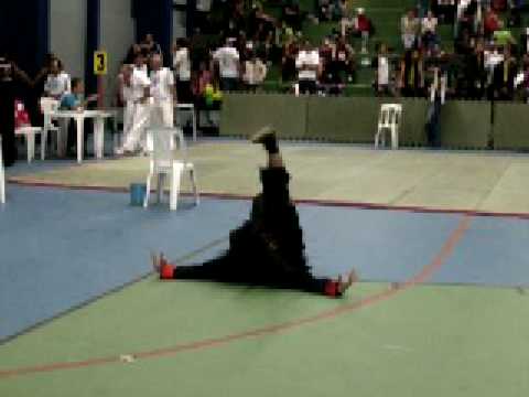 Punhos de Dragão / Rotina de mãos livres-Norte/ Kung fu