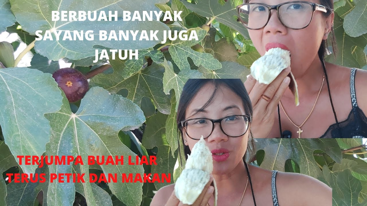 Berjalan Sambil Ambil Angin Di Kawasan Perumahan - YouTube