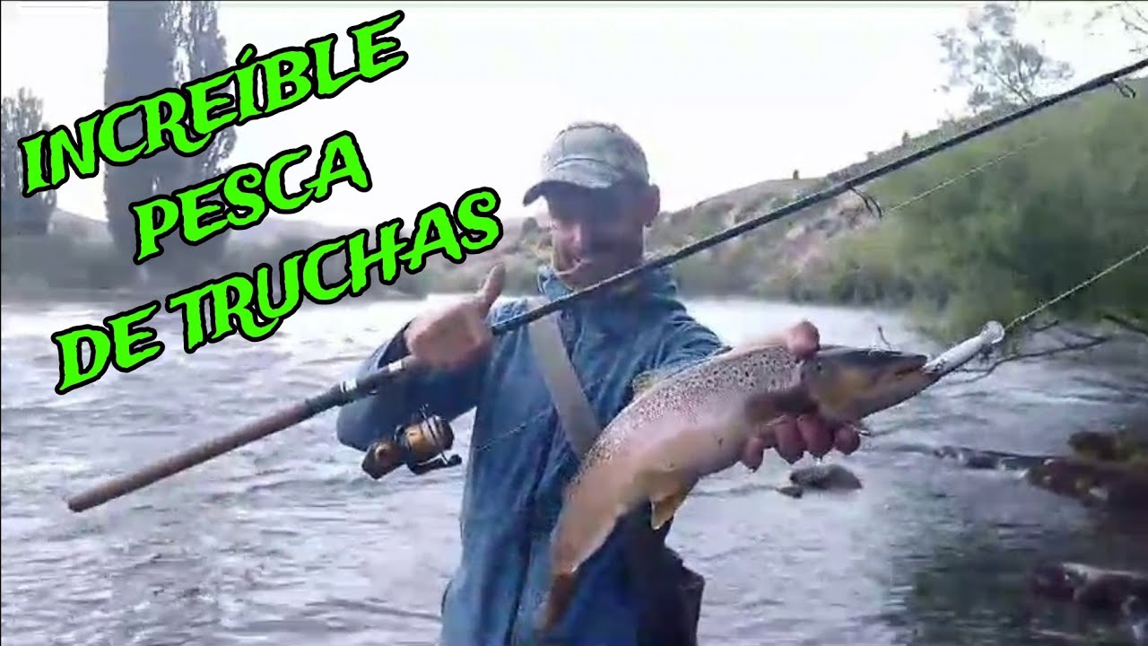 MUCHA PESCA + Como Pescar Truchas y Que Equipo Comprar - YouTube