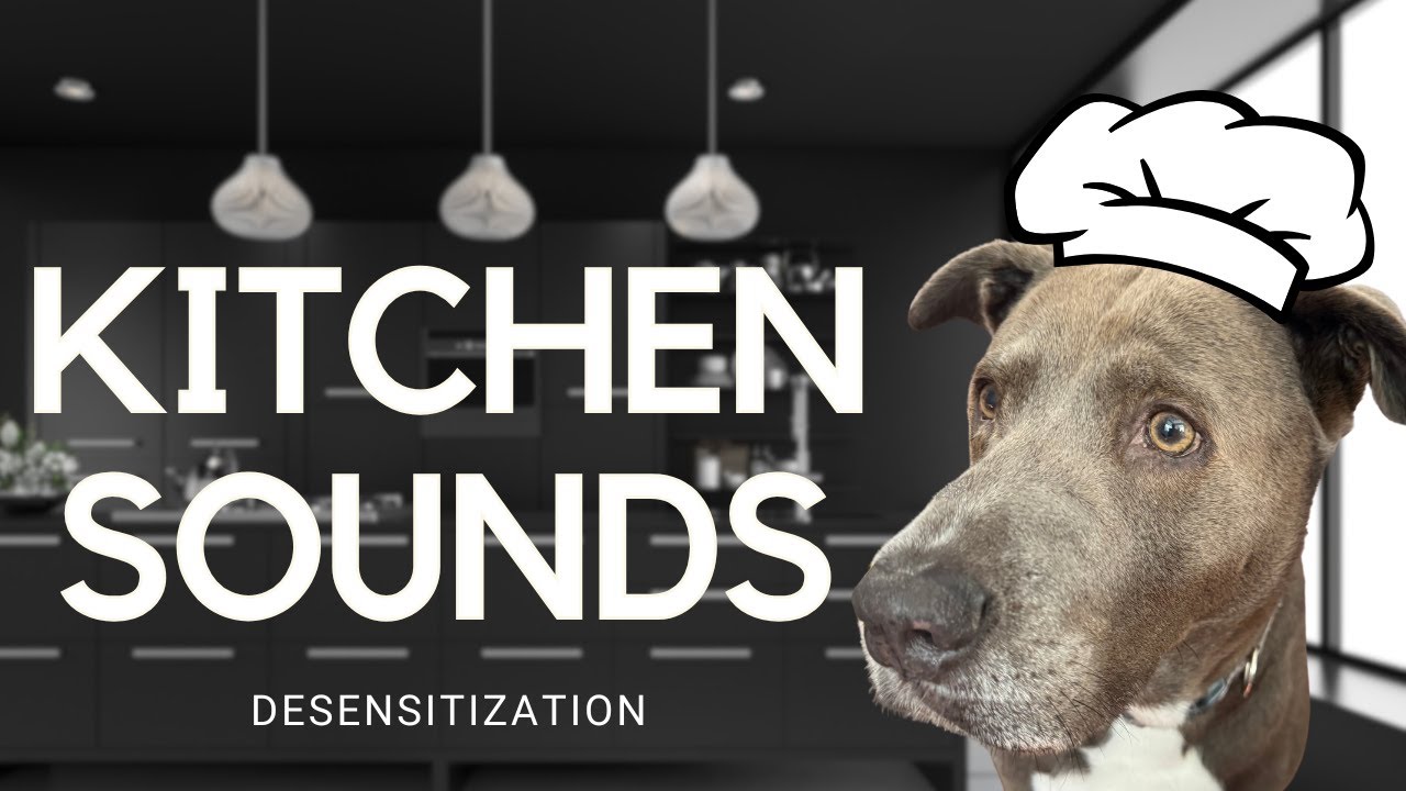 Kitchen Sounds Desensitization | Appliances, Igniter, Sizzling Sounds ...