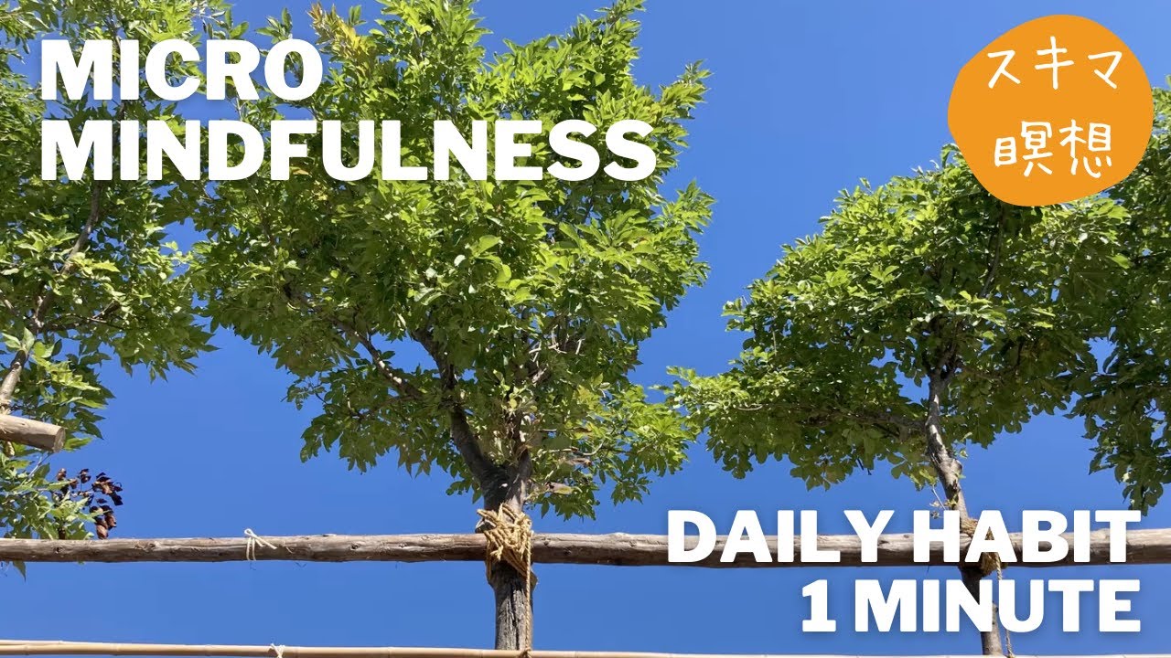 Micro Mediation |1 Minute |Breathing Practice |Mindfulness| anytime ...