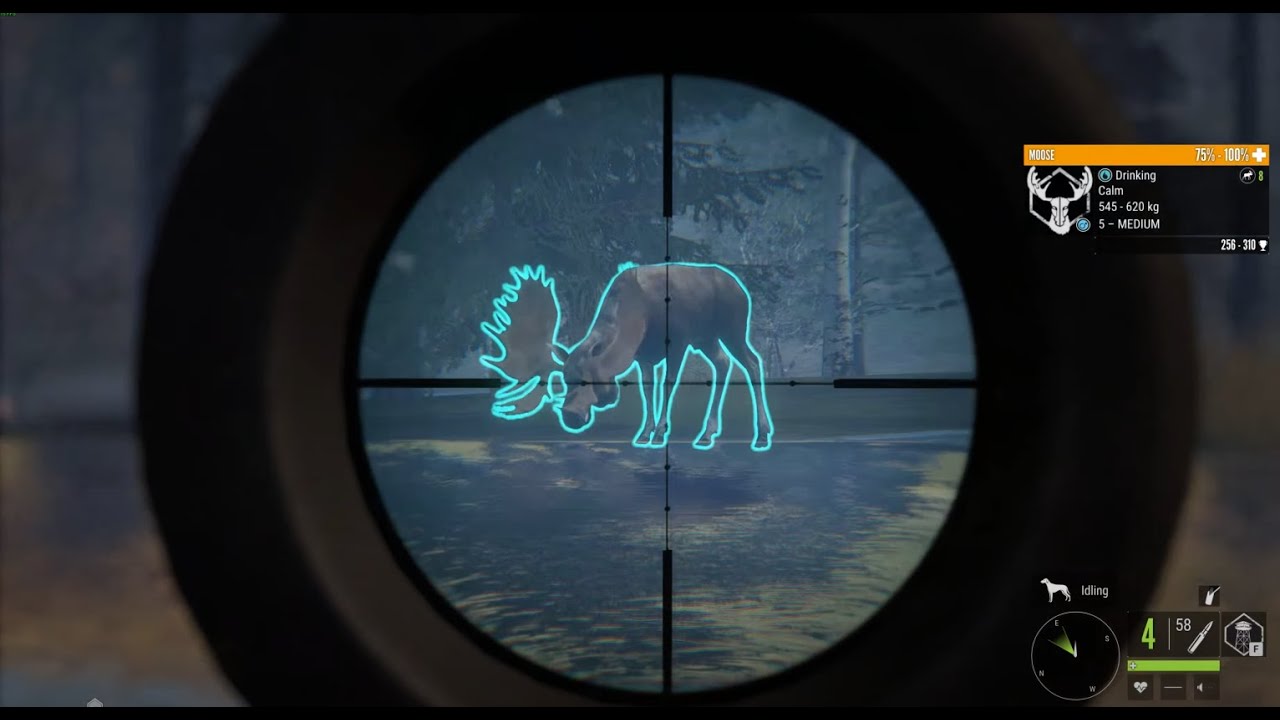 Huge Diamond Moose - Massive Rack | theHunter Call of the Wild - YouTube