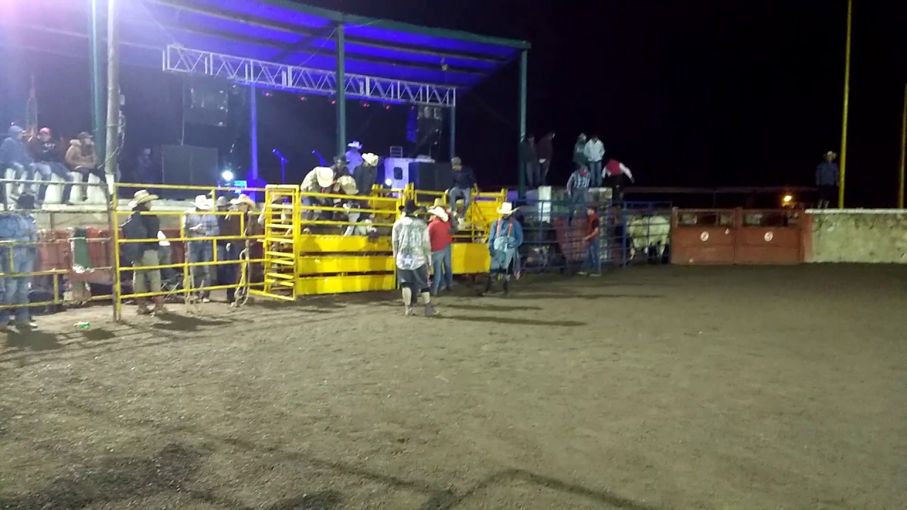 Brandon Anguiano vs toro renegado - YouTube