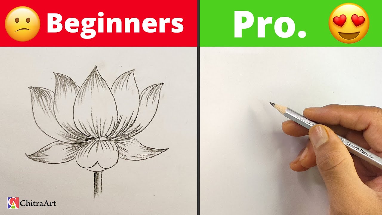 Beginner vs Professional Drawing | How To Draw Realistic Lotus Flower ...