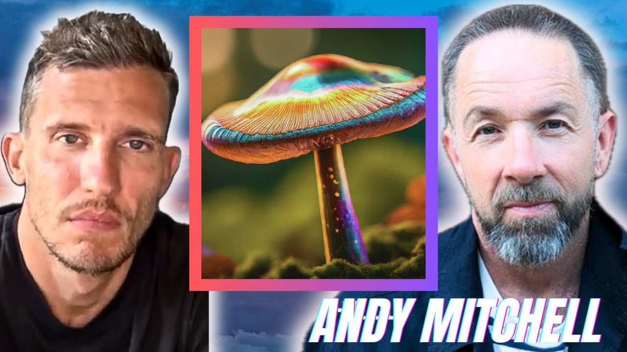 Researcher Tries 10 Different Psychedelics in the Name of Science! Andy ...