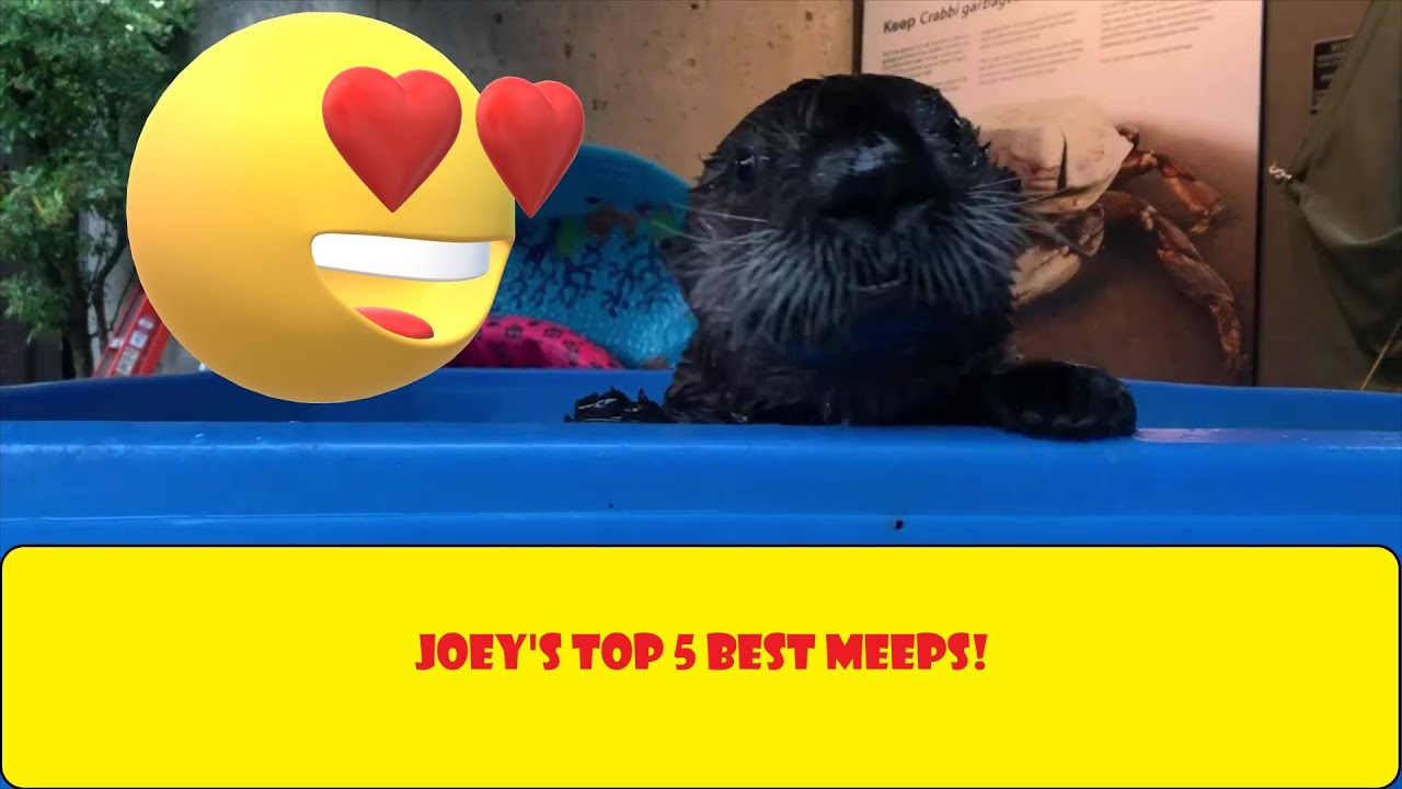 Joey's Top 5 Best Meeps! - YouTube