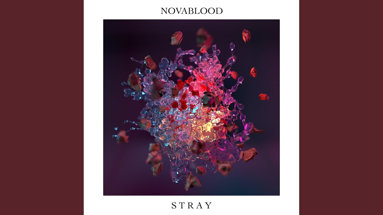 Stray (Edit) - YouTube