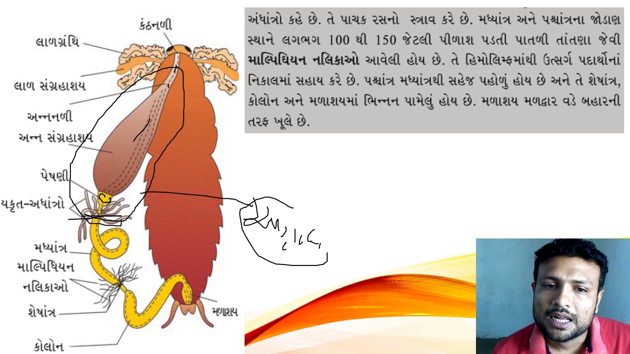 Chap - 7 Biology | Lec -7 Gujarati Medium (Std 11) - YouTube