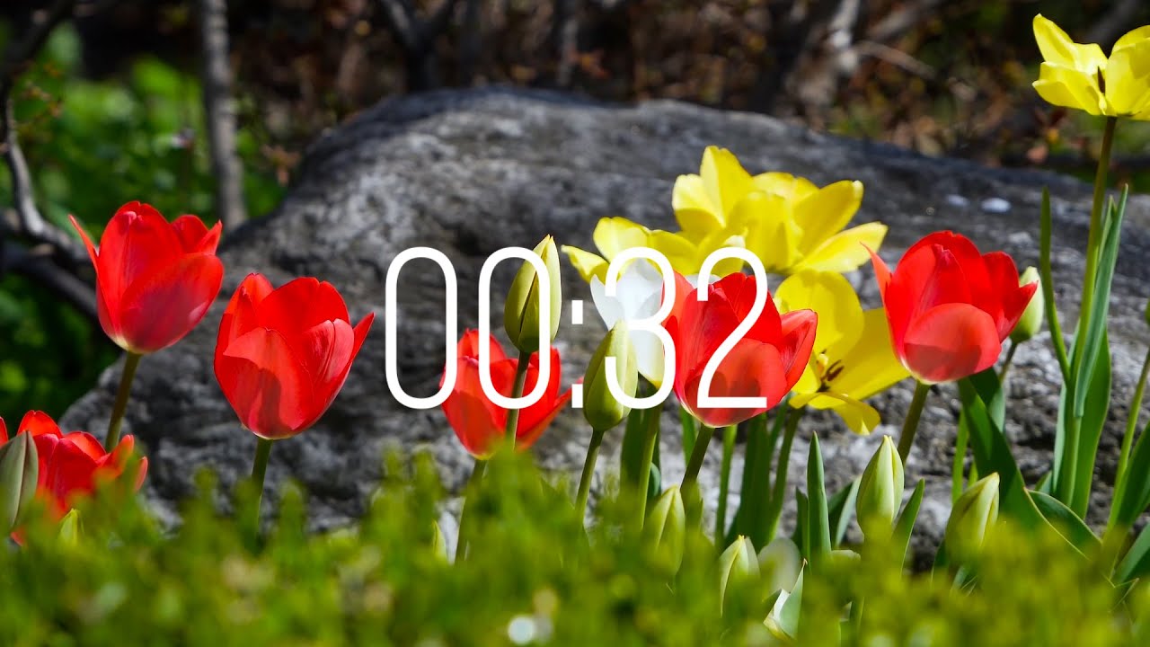 32 Second Timer with Music | Spring Timer🌹 - YouTube