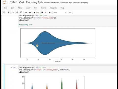 Day 15 : Violin Plot using Python - YouTube