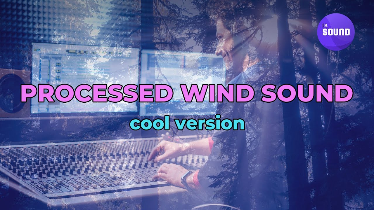 Professionally processed and optimized forest wind sound for deep sleep ...