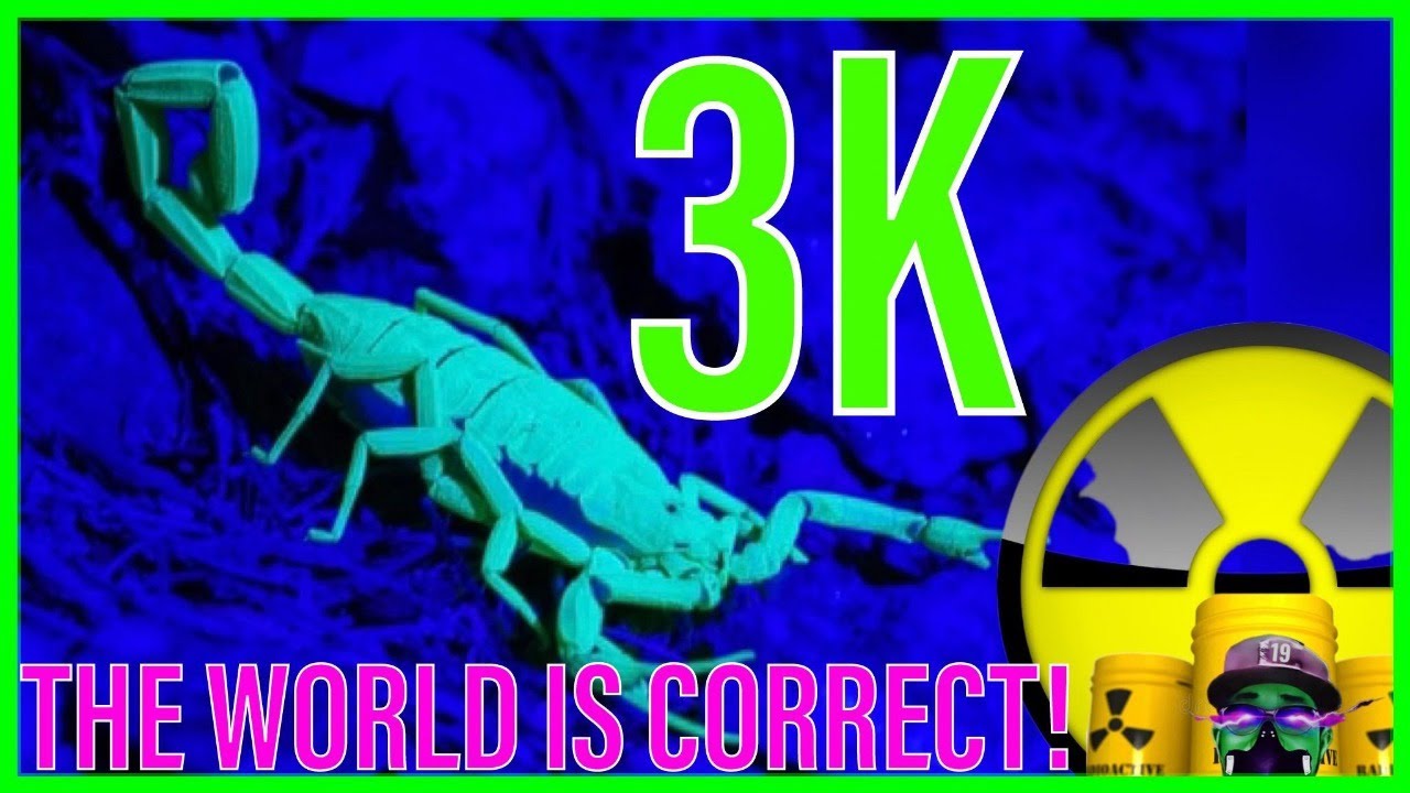 3K YouTube