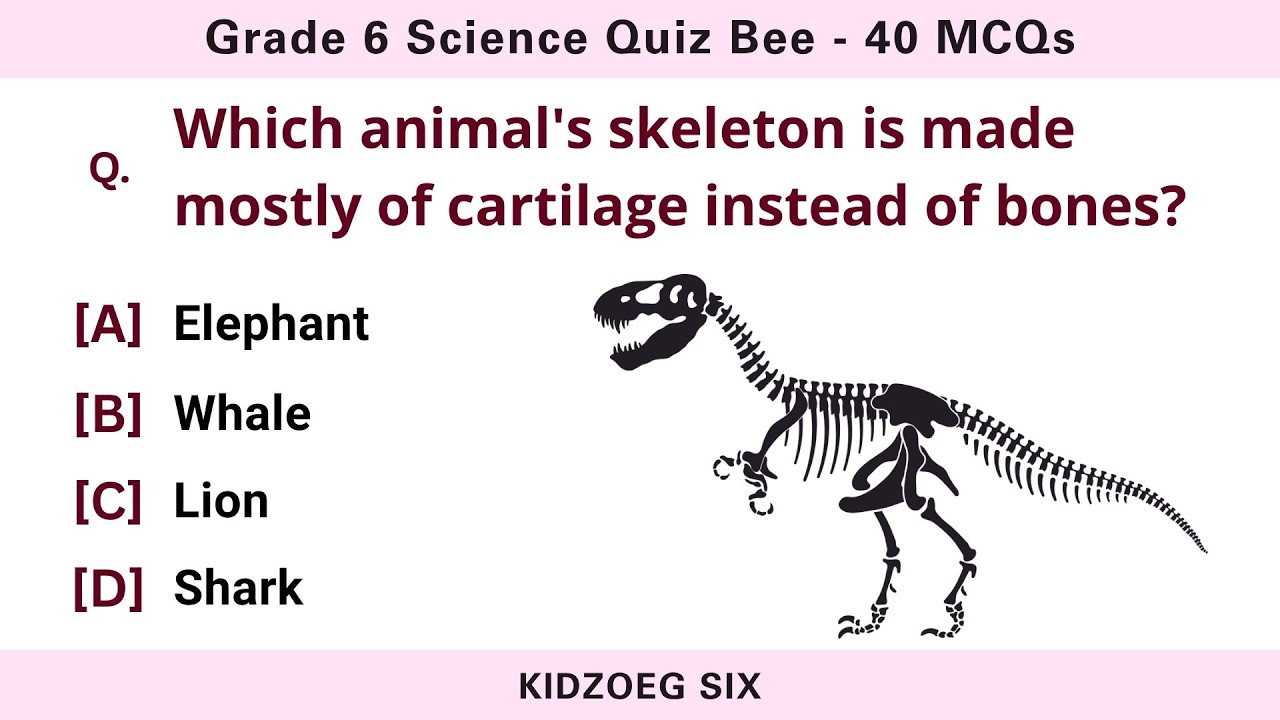 Grade 6 Science Quiz Bee | 40 MCQs with Answers | General Science Quiz ...