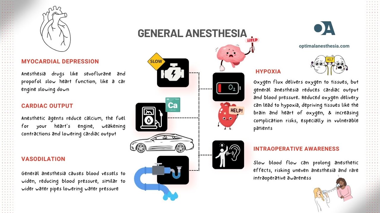 The Influence of Anesthesia on Oxygen Flux - YouTube