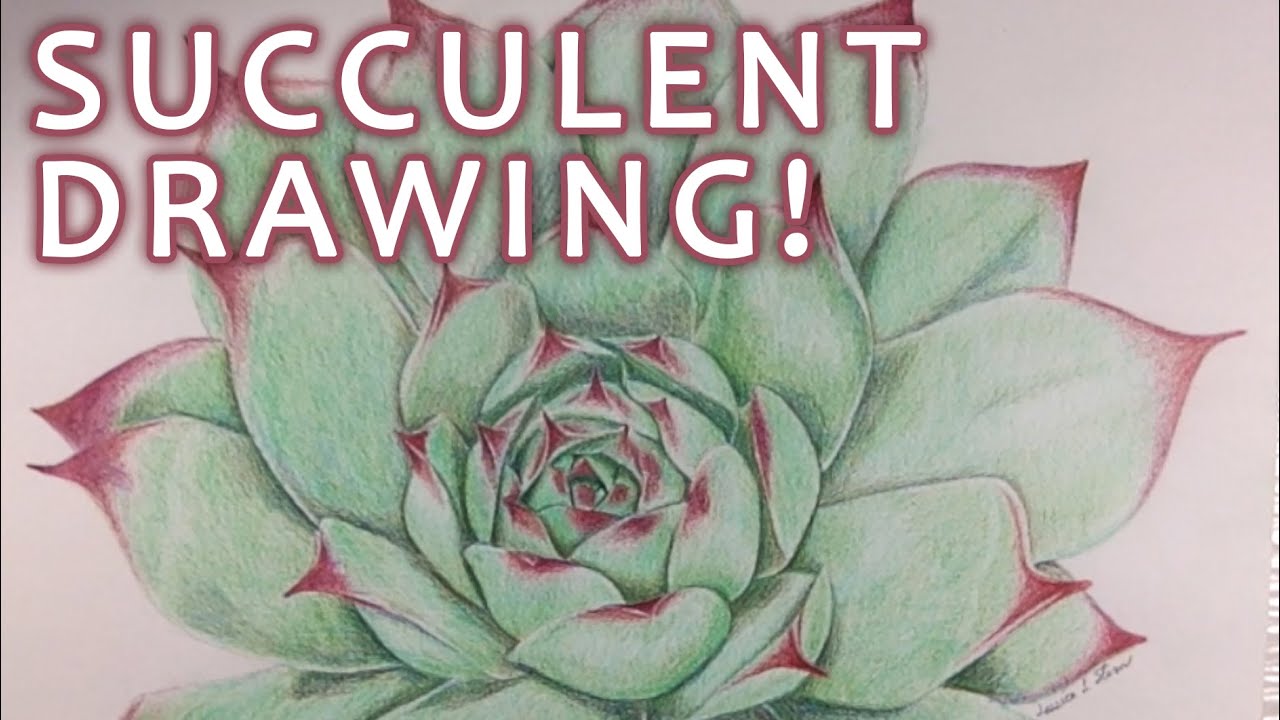 Succulent Speed Draw - YouTube