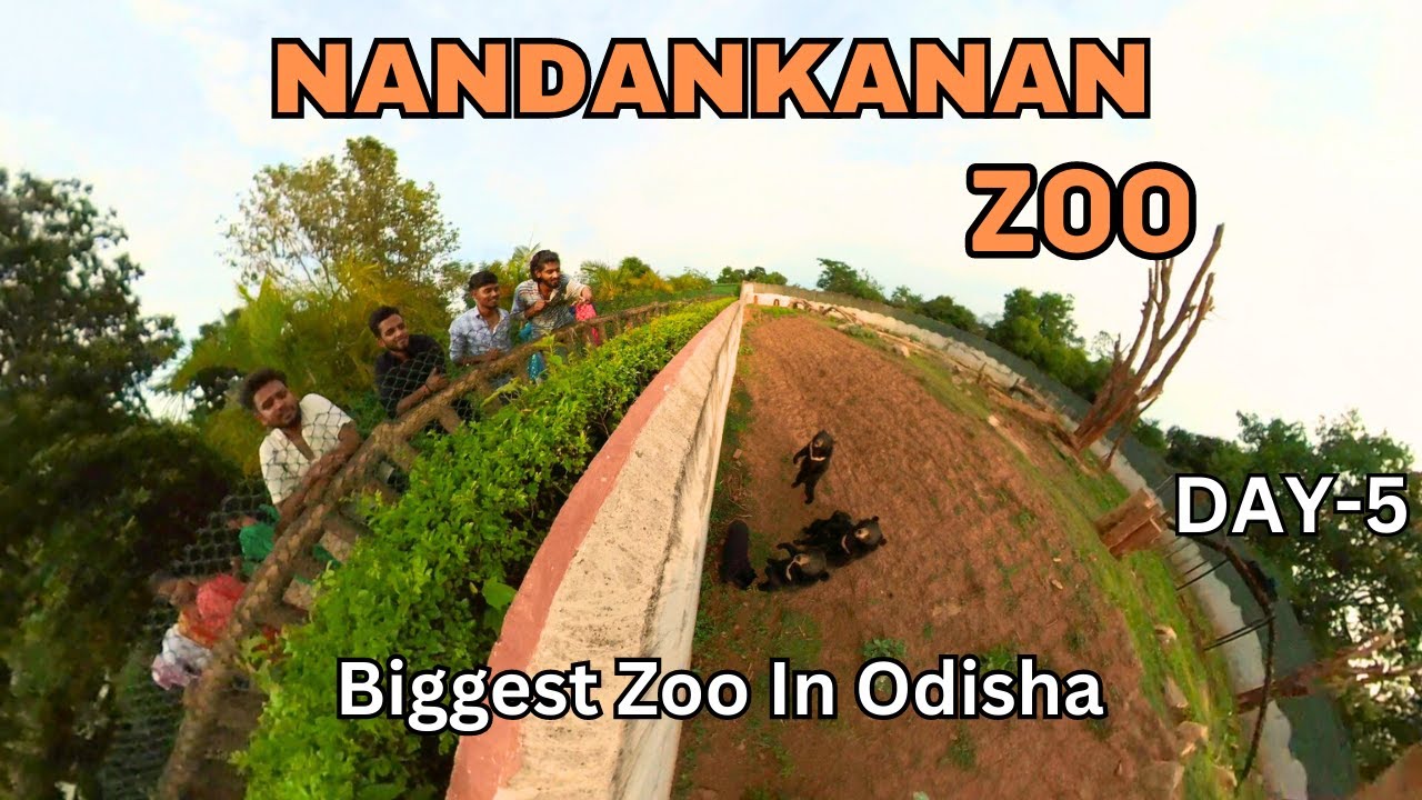 A day with Zoo Animals Nandankanan Zoo Biggest in Odisha - YouTube