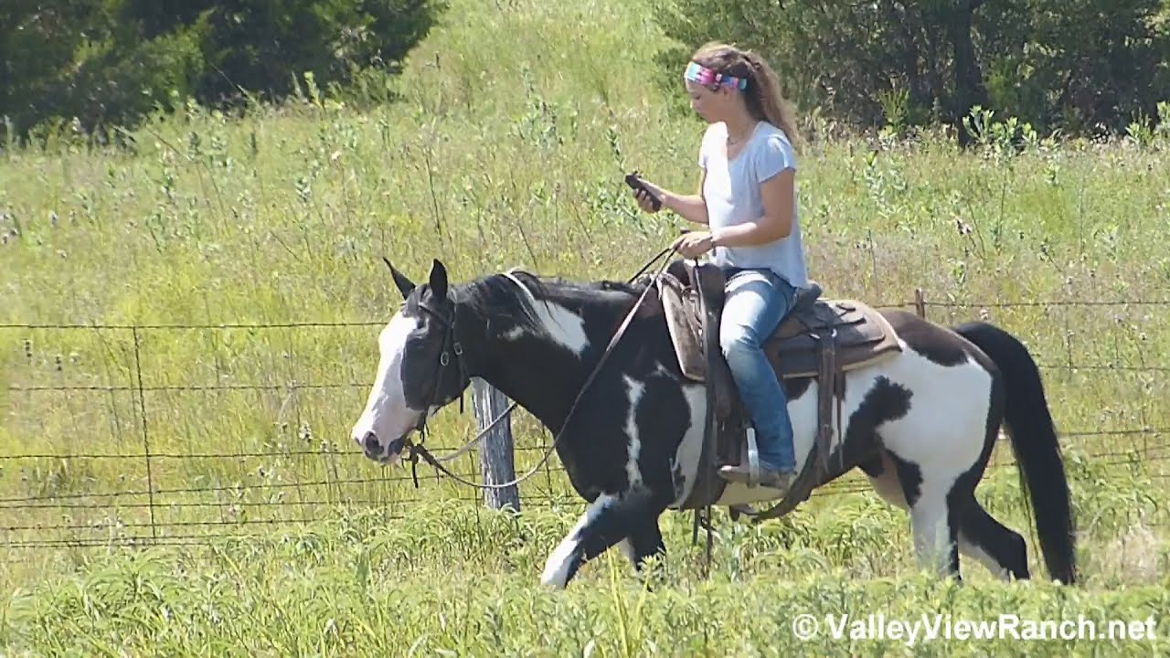 Dixie - Trail Riding - Valley View Ranch - YouTube
