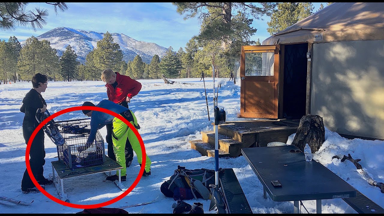 Shopping Cart Sled - YouTube