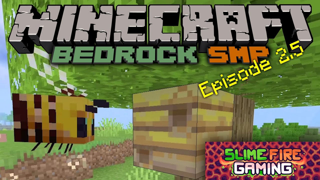 Minecraft Bedrock SMP Episode 2.5 - Buzzy Bees! - YouTube
