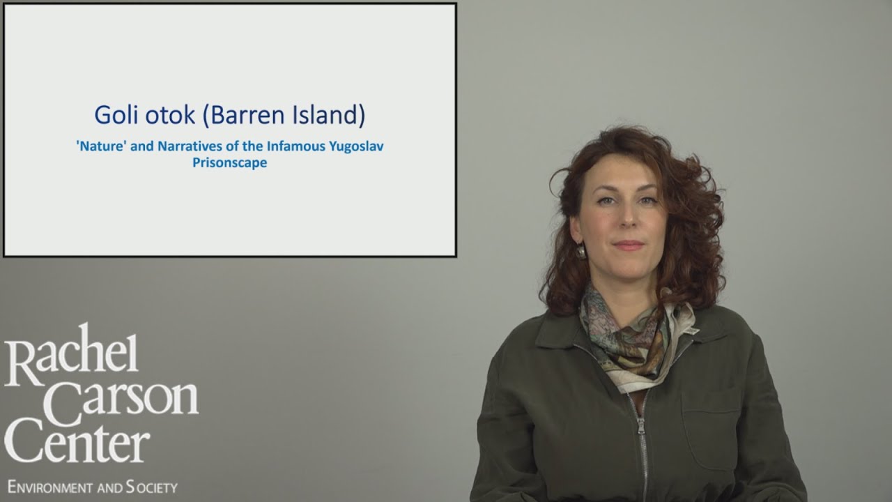 Lunchtime Colloquium: Milica Prokic - YouTube