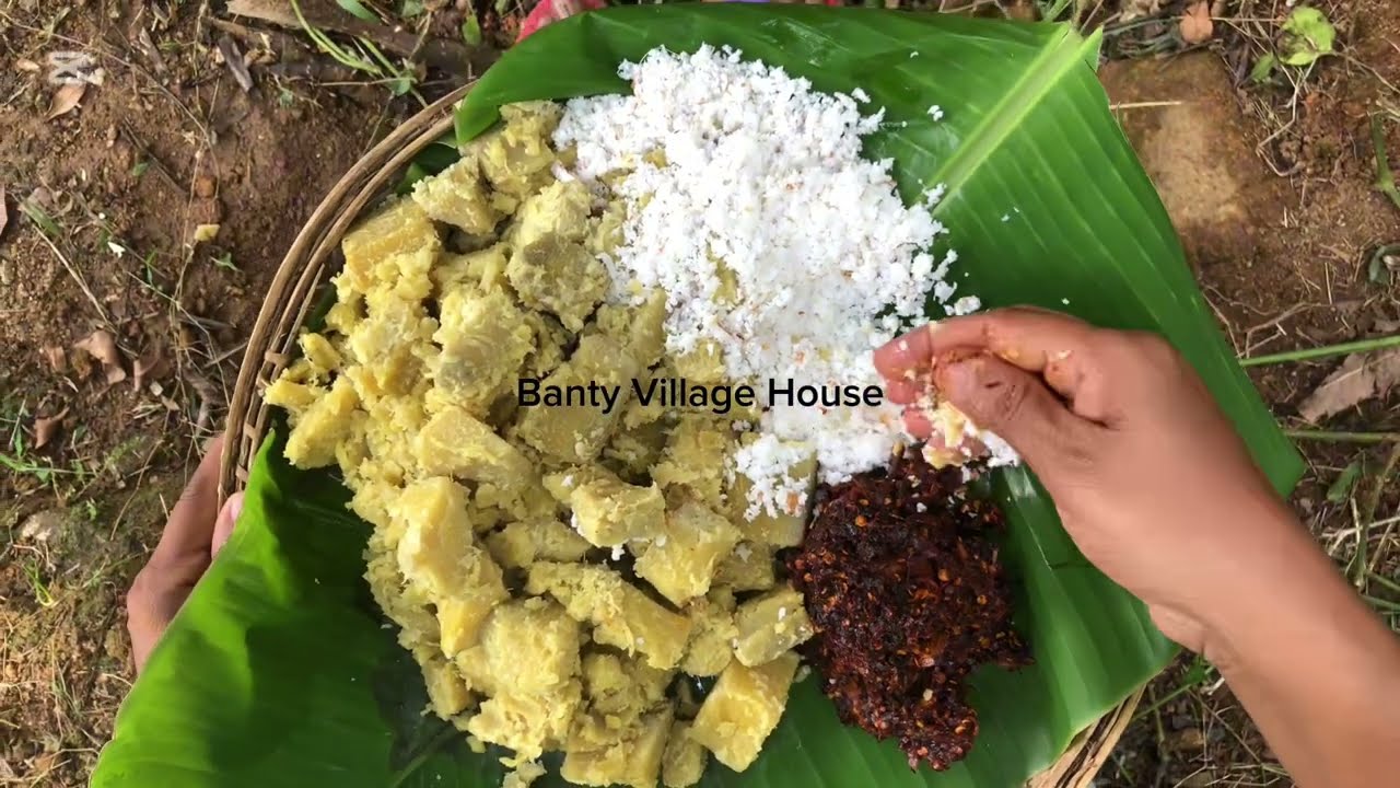 Tuber of Colocasia esculenta || gahala curry || srilankan food ...