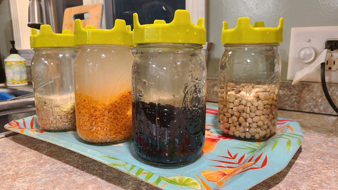How to Sprout: Beans, Rice, Lentils & Chickpeas - YouTube