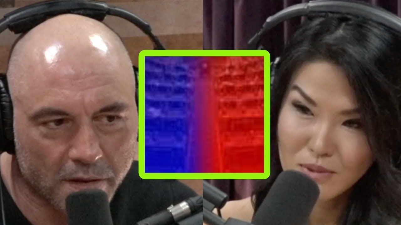 Joe Rogan and Melissa Chen on the Things that Divide Us - YouTube