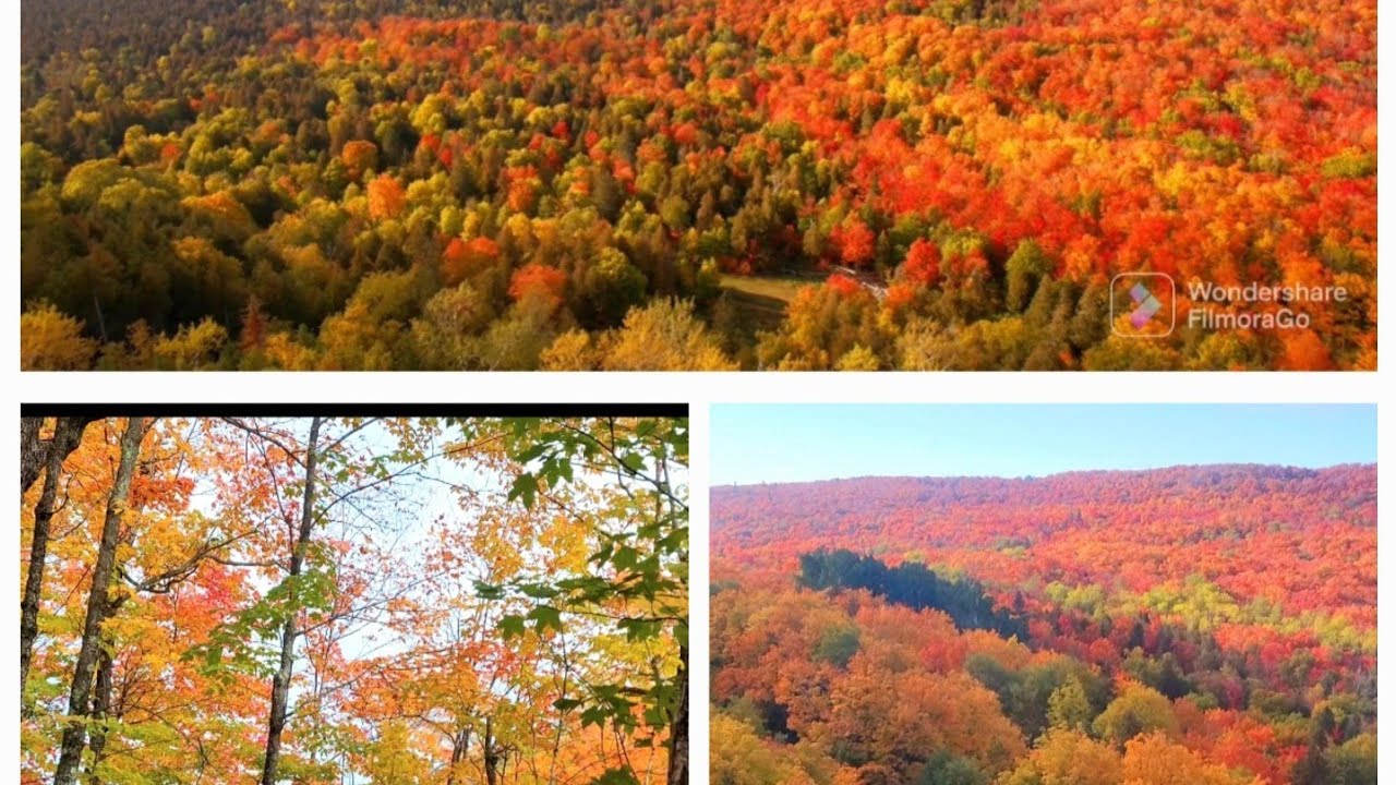 FALL COLORS IN LUTSEN MOUNTAIN MN 2022 SO BEAUTIFUL - YouTube