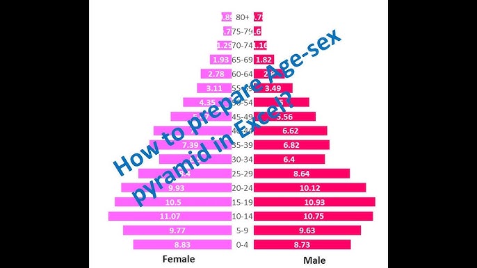 48 Constrictive Age Structure Diagram Chardamuhammad