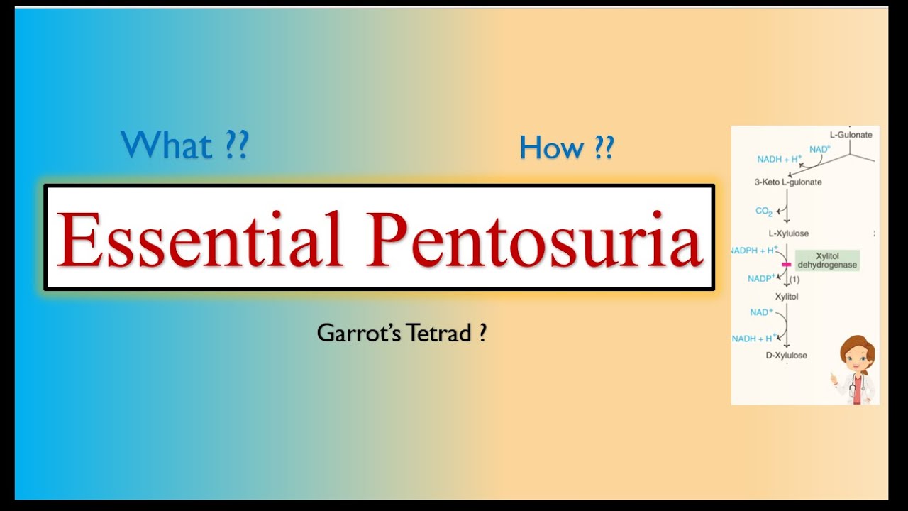 Essential Pentosuria - Defect in uronic acid pathway - metabolic defect ...