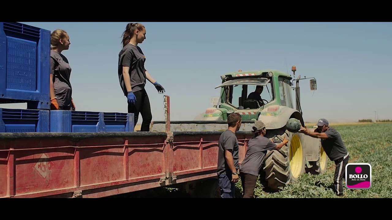 Melones Bollo, Arte en Fruta. - YouTube
