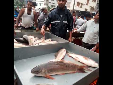 Life Big Fish oction modho badda wholesale fish market Dhaka #2024 # ...