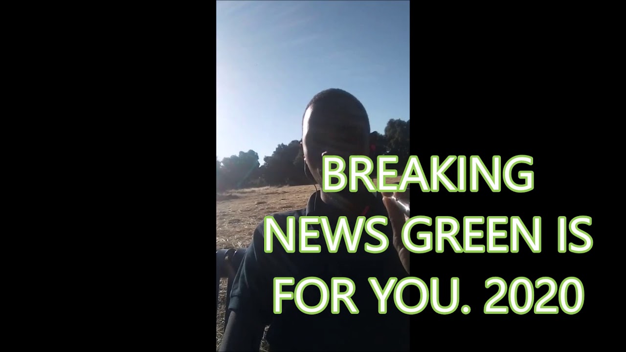 BREAKING NEWS Get Your Green Card Now Easy Steps YouTube breaking-news-get-your-green-card-now-easy-steps-youtube