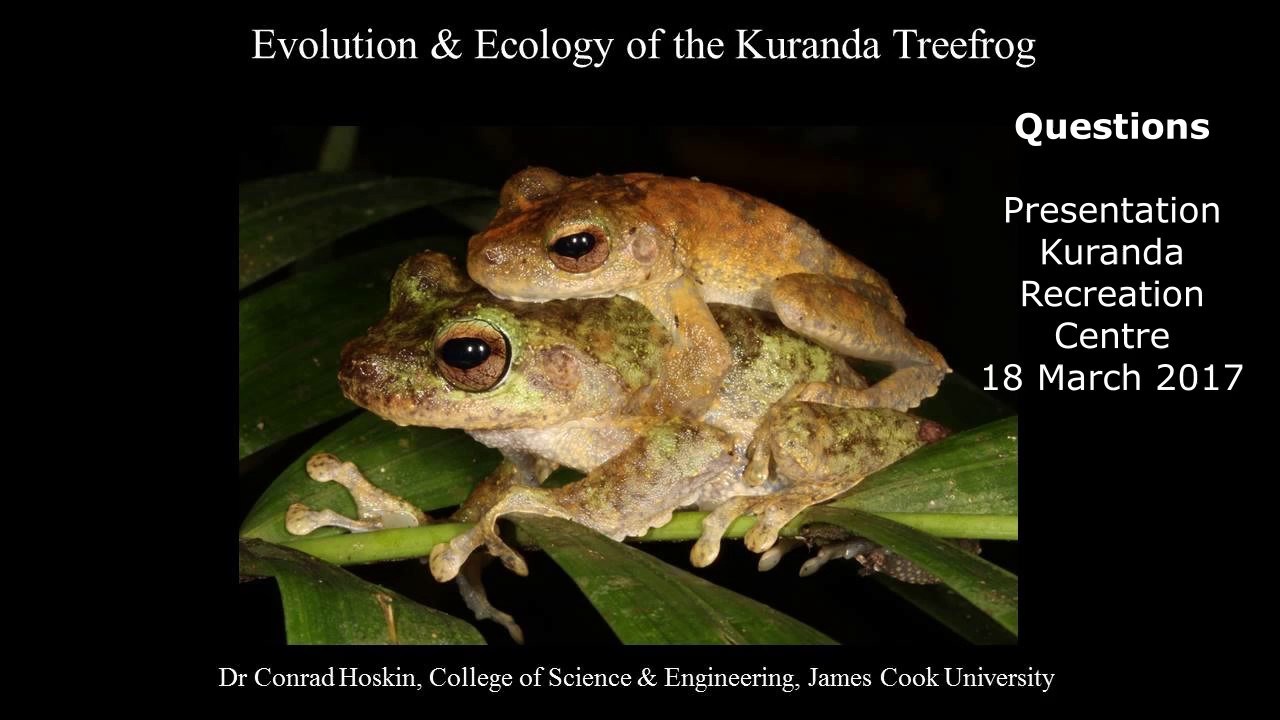 Evolution & Ecology of the Kuranda Treefrog : Dr Conrad Hoskin - YouTube