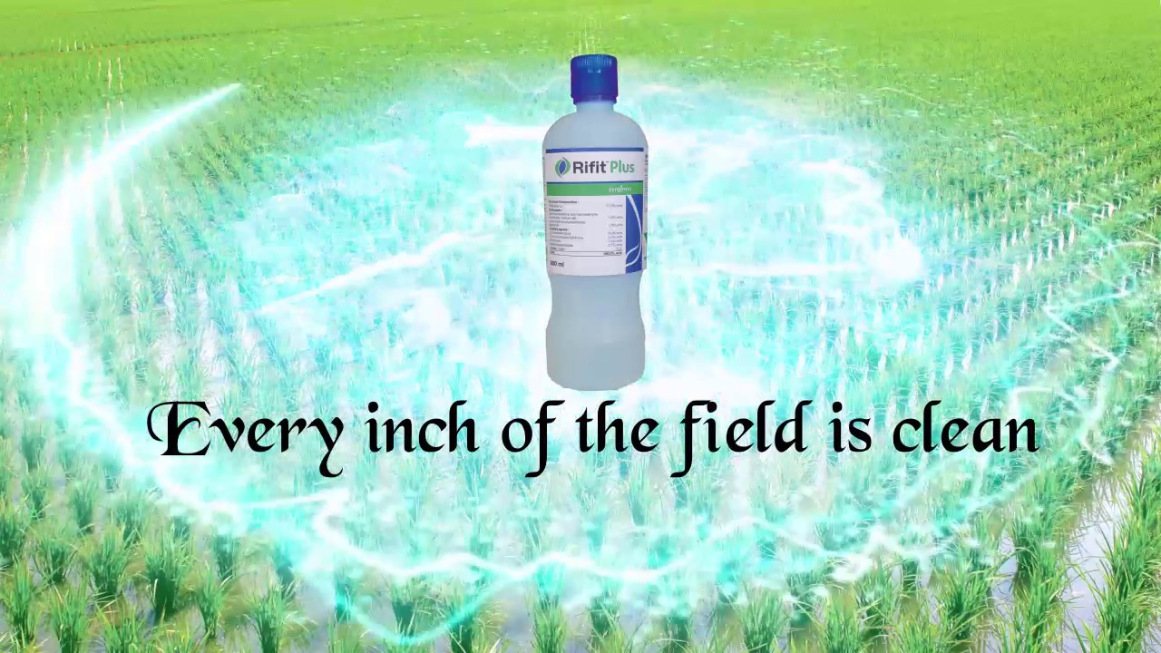 Syngenta Rifit Plus English - YouTube
