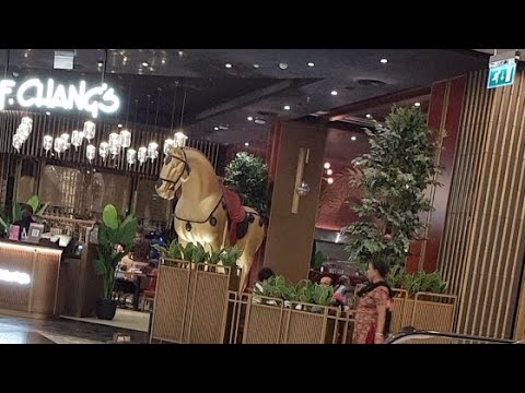 MY 7TH LIVE STREAMING AT MALL OF THE EMIRATES..10/16/22 - YouTube